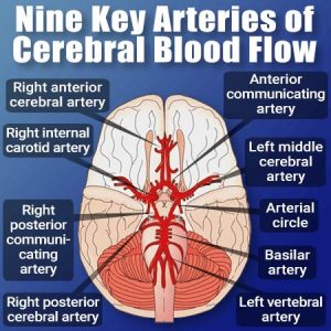 Introducing Nitrinol - UniScience Blog